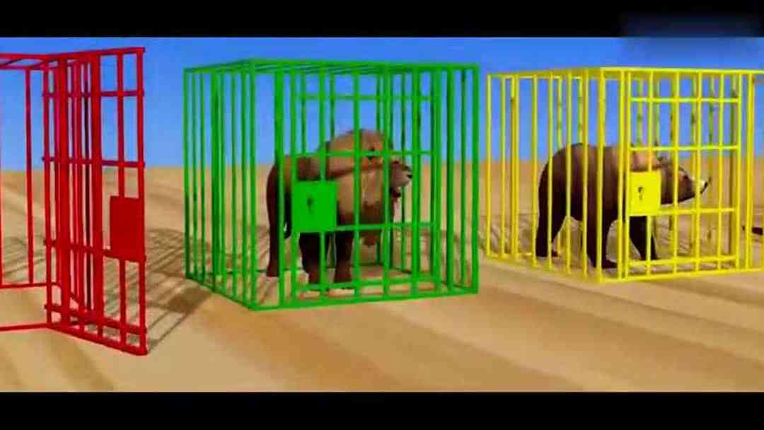 亲子早教益智:3D动漫野生动物熊老虎豹子狮子吃蔬果,学习英语!