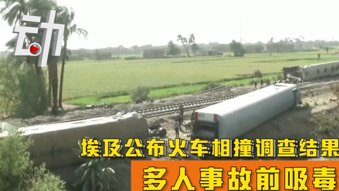 埃及公布火车相撞调查结果:多人事故前吸毒?一驾驶舱内无司机