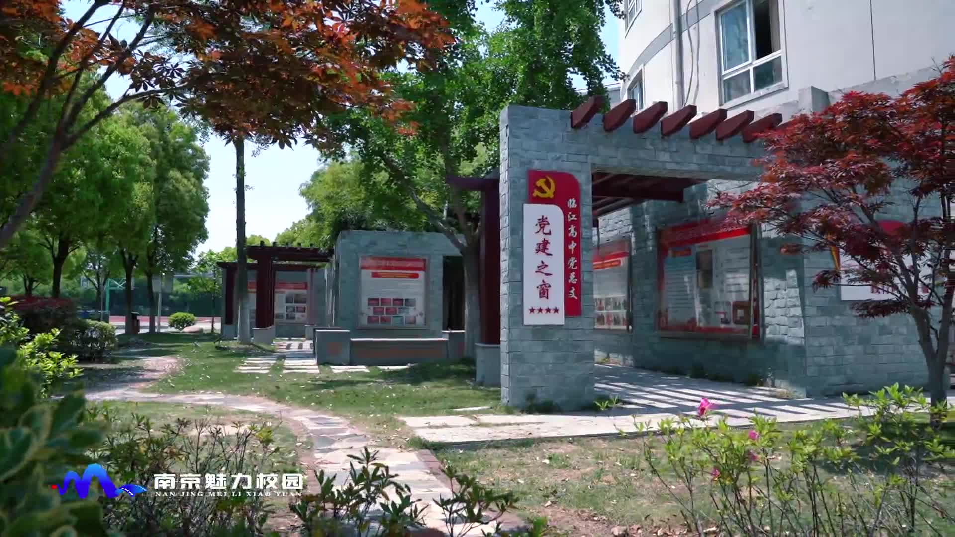 抖音南京市临江高级中学(刘煜程 董惜宇)2020.04.30