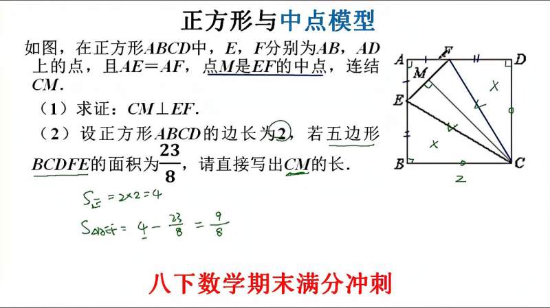 八下数学:正方形与中点模型,压轴题