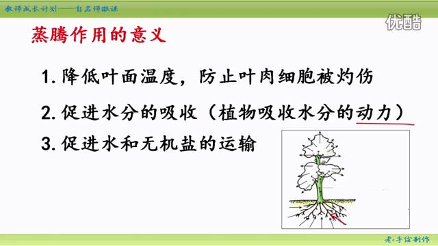 蒸腾作用的意义