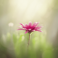 记录生活点滴2019 