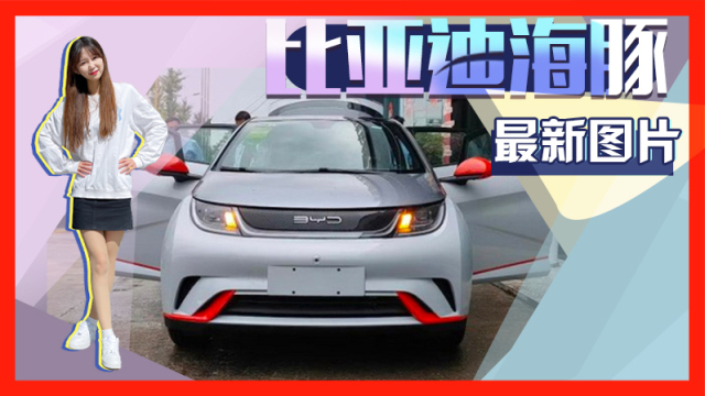 比亚迪海豚到店实拍!预售9.68万元起 年底上市