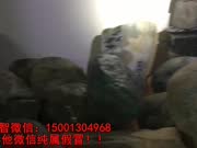 带你看看翡翠原石实体店,价值过亿翡翠原石长啥样?