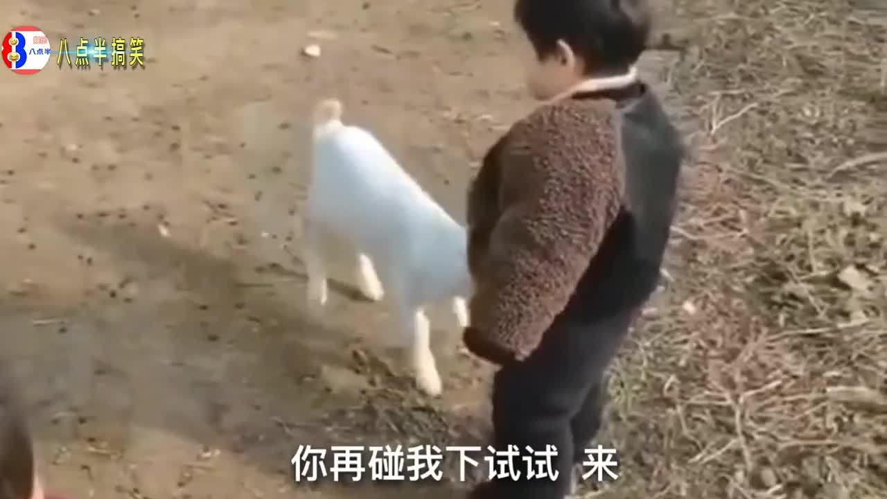 有段音乐终于派上用场了,你猜到是哪个了吗?