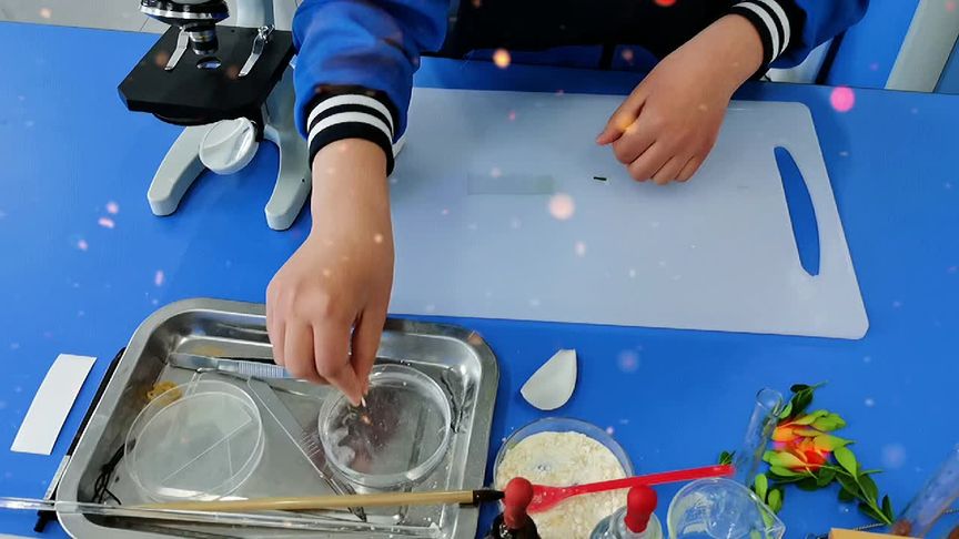 #校园 生物中考实验模拟进行中