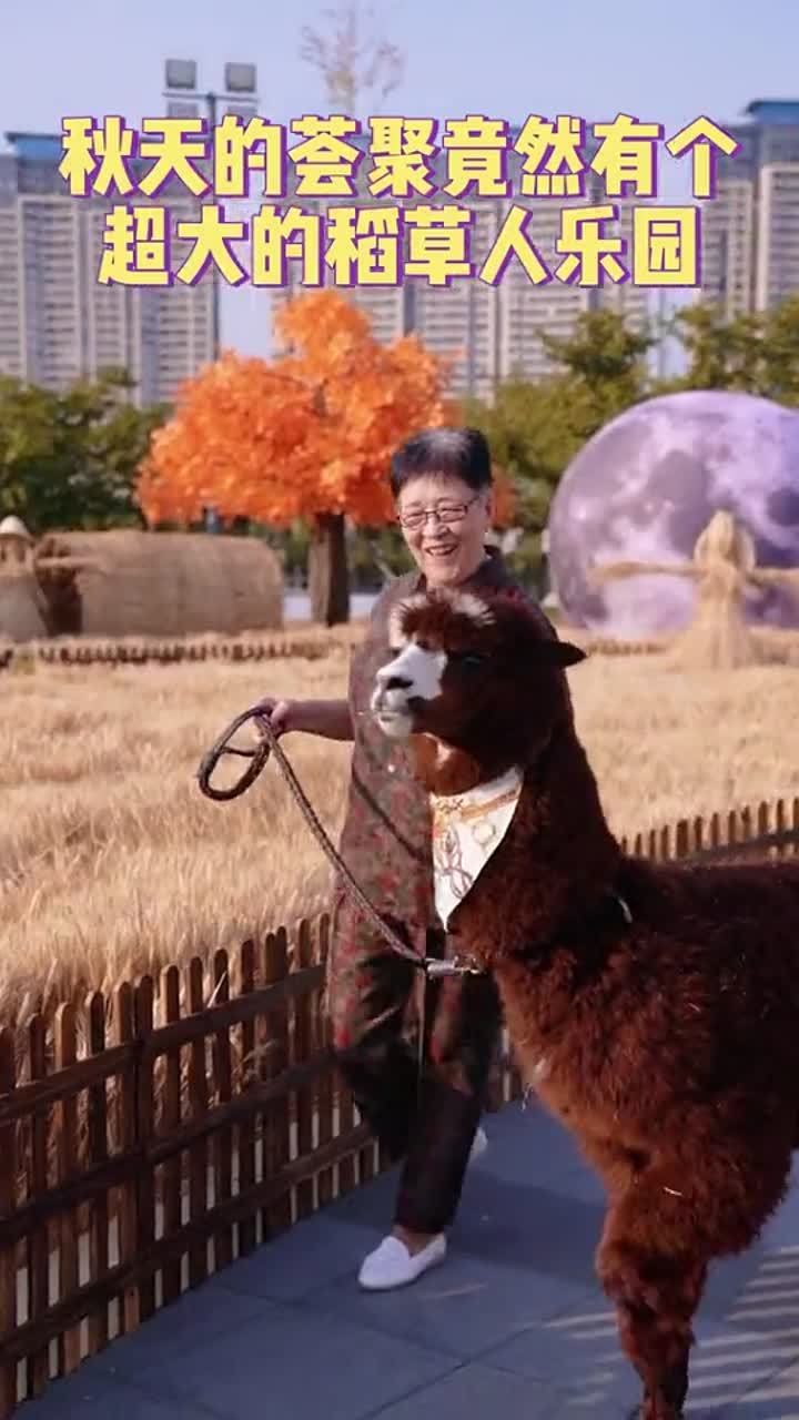 吹着晚风倾听姥姥讲故事,秋日的稻草人乐园,是童年最.