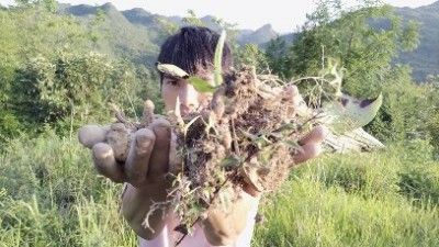 挖双肾草被马蜂锥,泪流了,不好意思看摄像头
