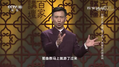 [百家讲坛]丝路上的古城(第二部) 5 刺桐花开话泉州 价值连城的香料