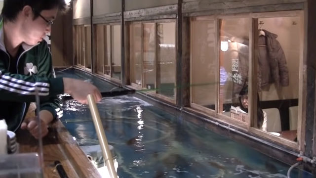 一家餐厅吃鱼顾客自己钓?各种类的鱼,厨师都能做出来?