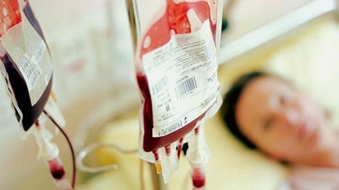 传说中的"熊猫血"血液到底是啥样?需要它救命的时候,该怎么办?