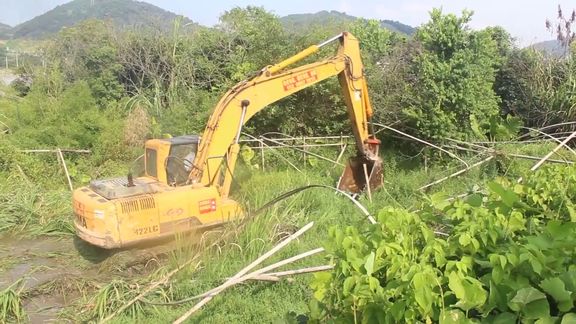 东肖:推进北大附属实验学校国际校区(东肖)项目建设