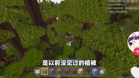 #希望能火 #灵翼日常 #灵翼 迷你世界抄袭光遇