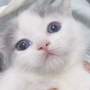 ＆卧听风吹雨，今夕是何夕＆ 