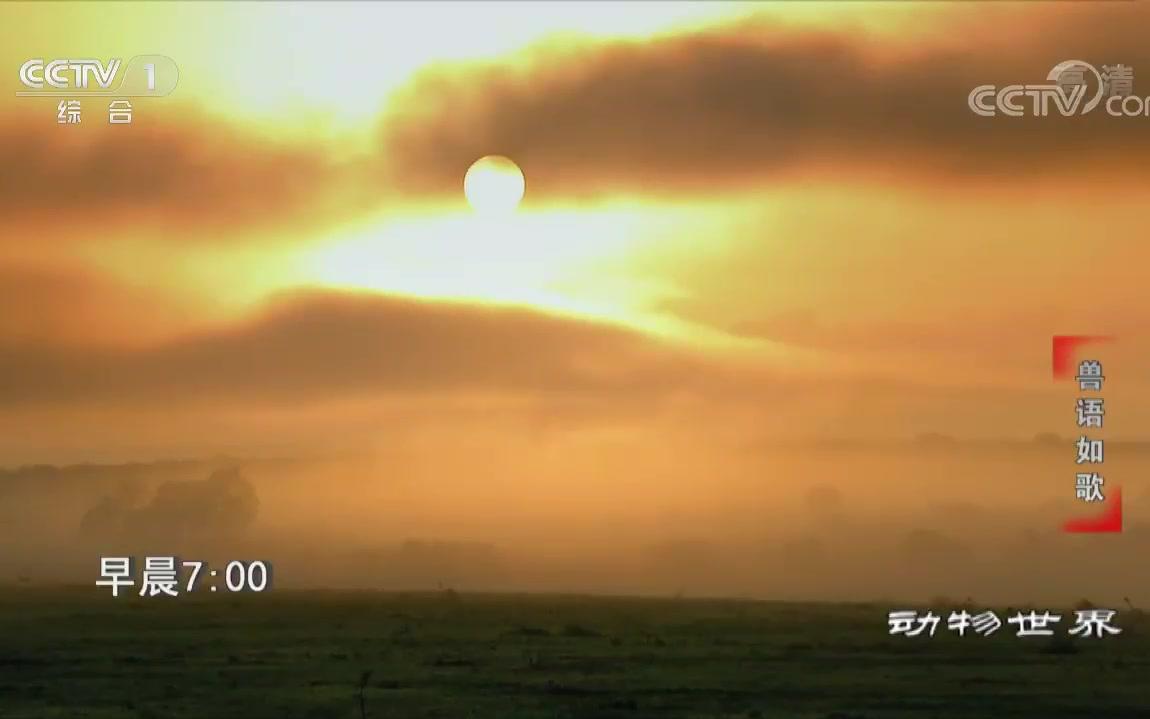 《动物世界》 20180526 兽语如歌