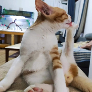 哦啦啦喝酒 