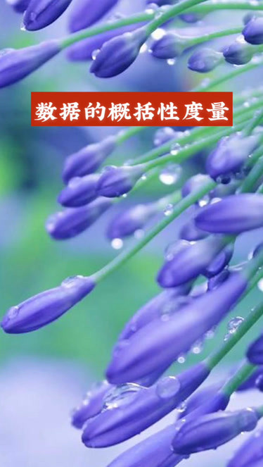 贾俊平统计学第四章 数据的概括性度量-闫潇钰的专辑