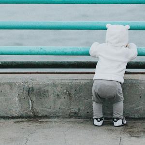 志愿填报的坑在哪 