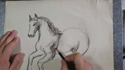 画一匹马,最后身上的细节在这里,这么画很好看