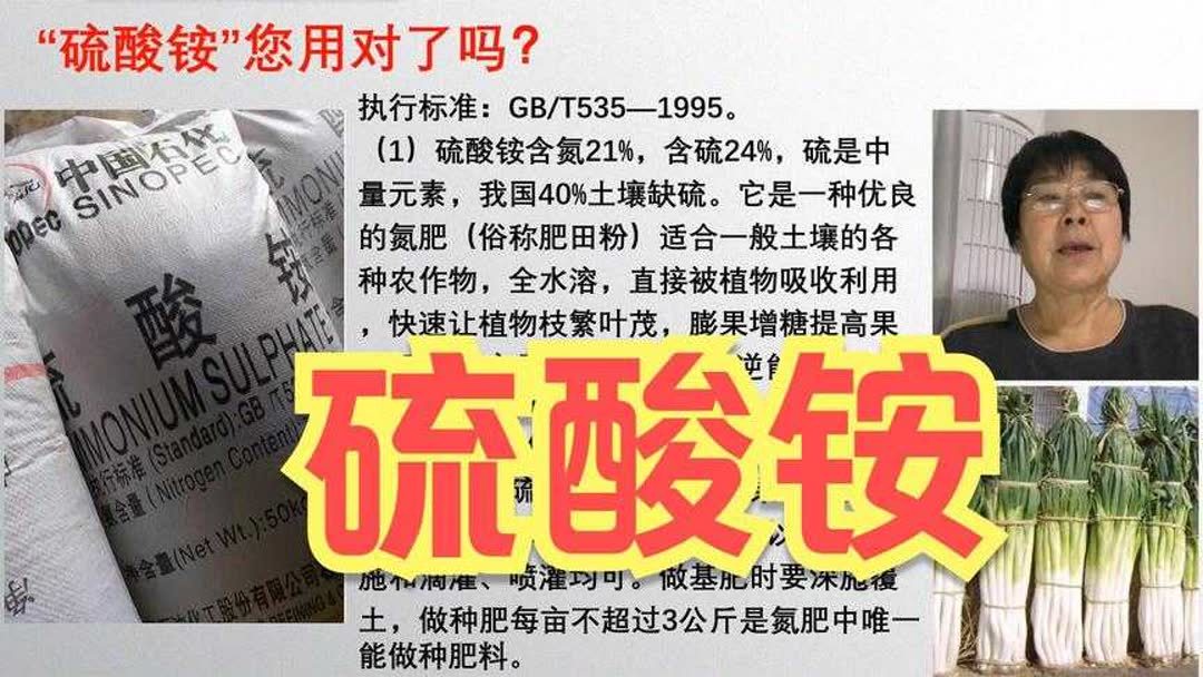 肥料知识科普:硫酸铵怎样施用利用率高? 农艺师讲农业