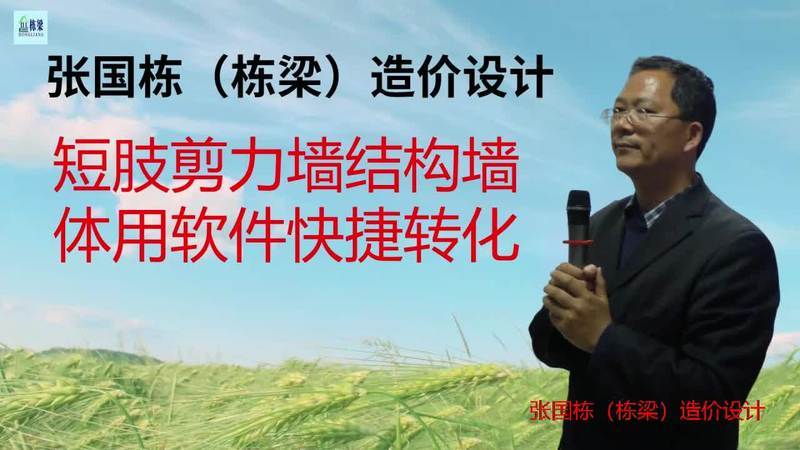 张国栋(栋梁)造价设计:短肢剪力墙结构墙体用软件快捷转化