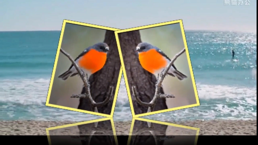 美丽的小鸟_两图相对运动效果之三(画中画)