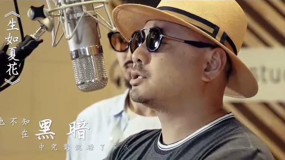 生如夏花 电影《我不是药神》宣传MV