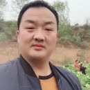 河南亮哥萌宠记 