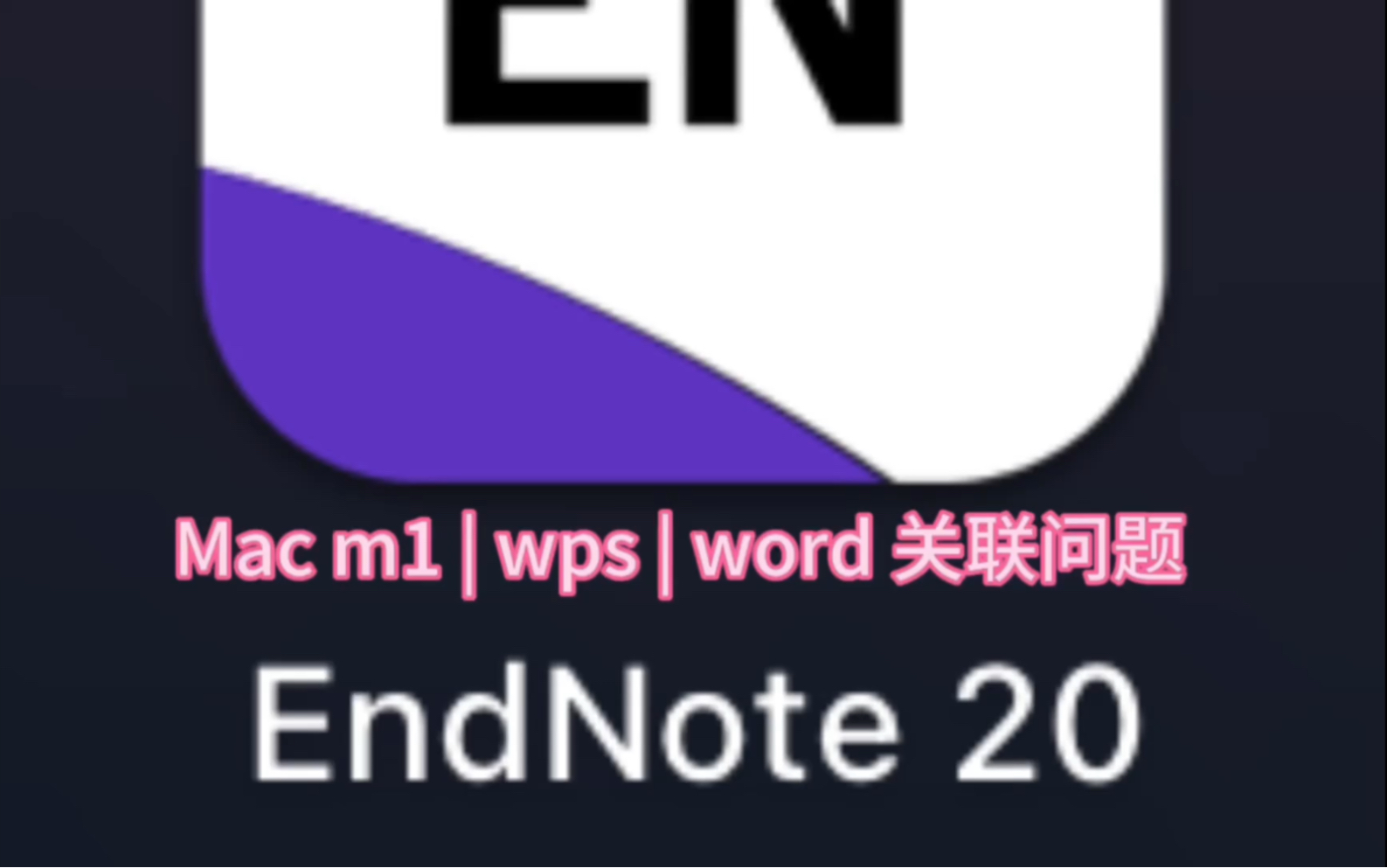 Mac M1用户在使用Endnote的常见问题 | endnote不兼容WPS | endnote...