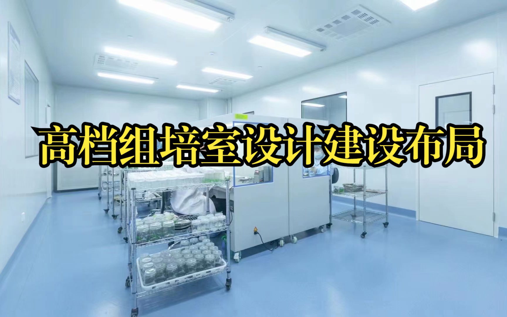 组培室设计建设,组织培养技术,多倍体实验室,植物组培架