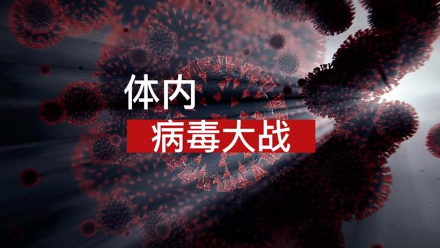 体内免疫系统是如何与病毒抗争