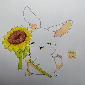 胖胖绘画 