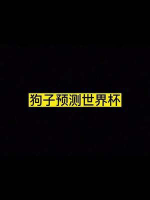 今天的预测来了…#狗狗预测世界杯 #威尔士vs伊朗预测 #世界杯花式...