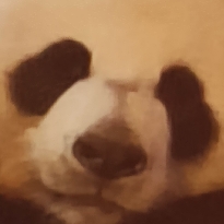 xxxxxxxsxxxx 