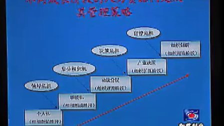 彭剑锋:人力资源管理与实务全景案例课程9