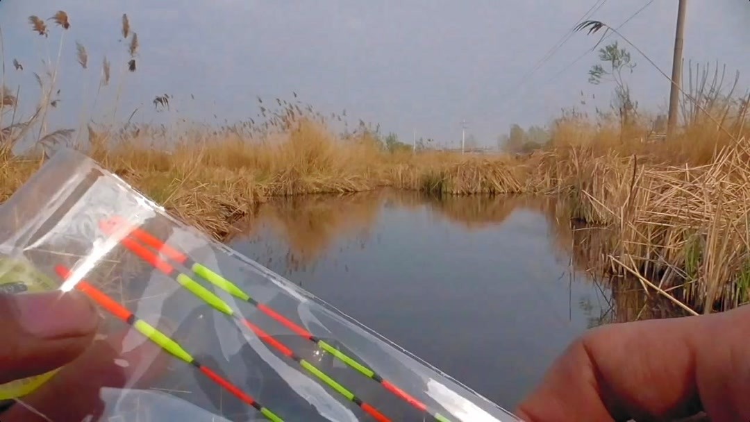 分享野钓调漂完整过程,手把手教你如何调漂,简单易懂一看就学会