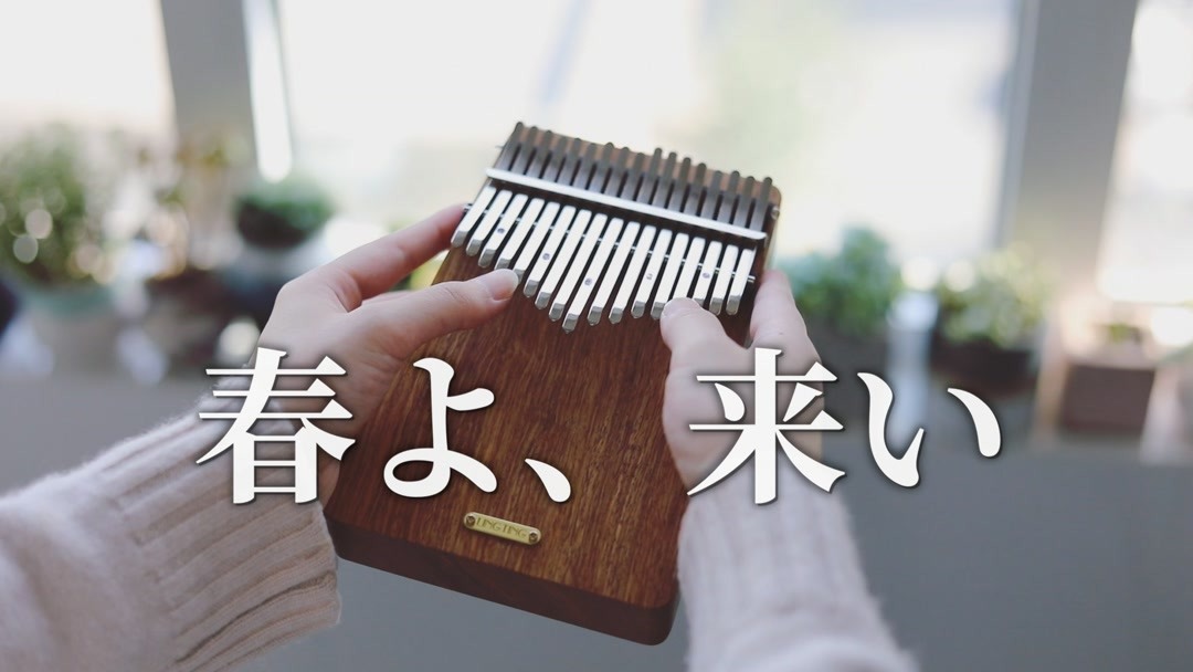 拇指琴演奏《春よ、来い》羽生结弦表演滑曲目