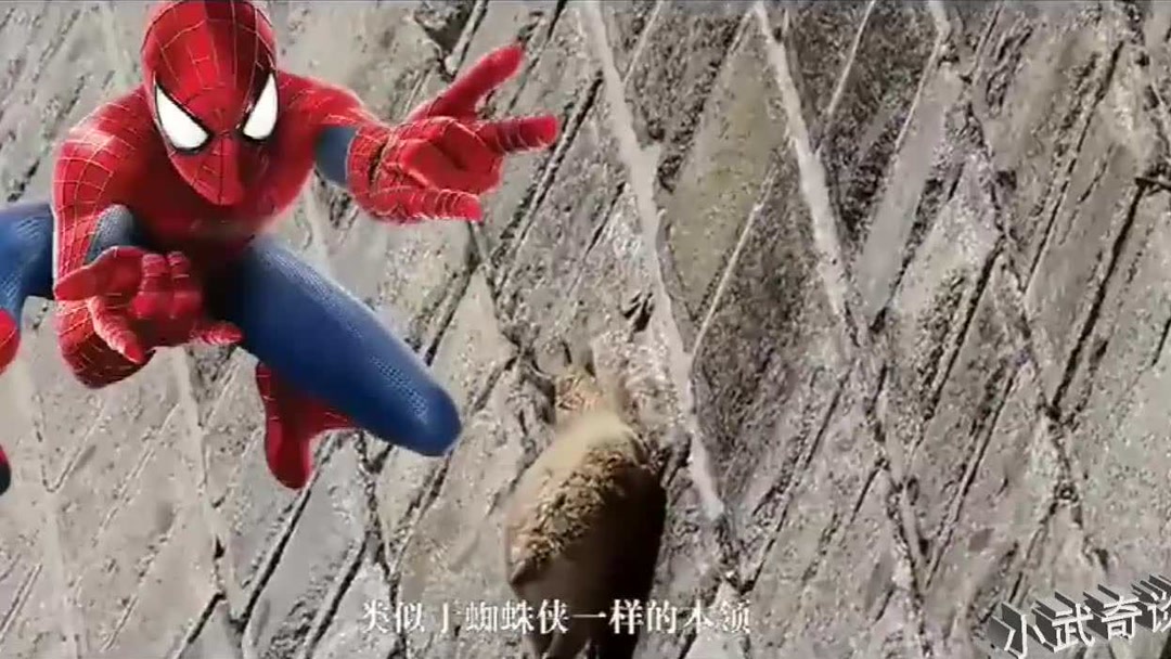 七种超能力动物,变异人模仿它们的动作,好会学做这个