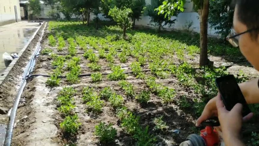 农业微喷带浇地浇菜园子方便节水