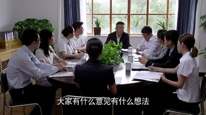 平凡岁月:会议讨论走形式,三宝勇提建议,不料遭同事非议