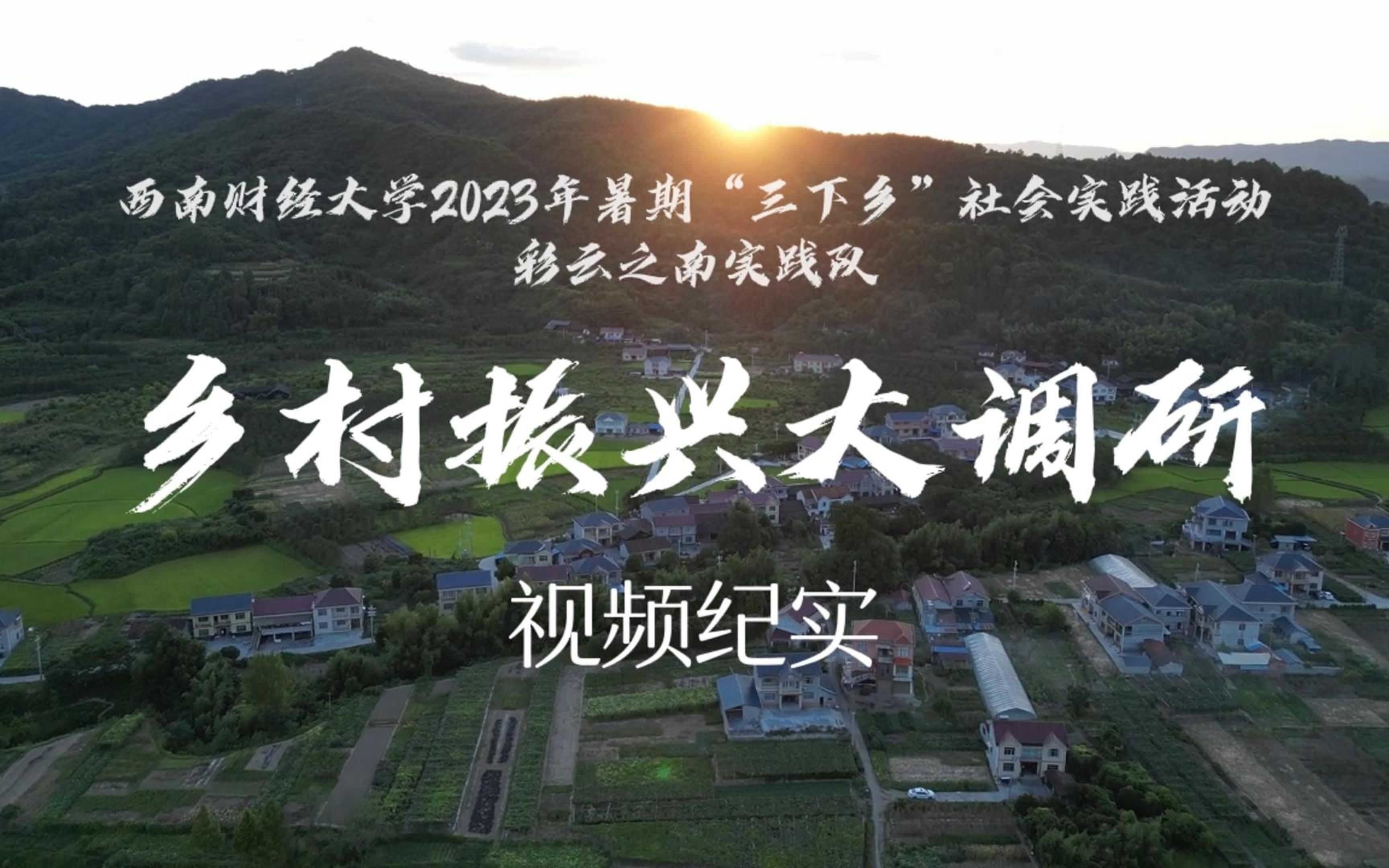 【三下乡】西南财经大学2023年暑期三下乡社会实践活动 乡村振兴大...