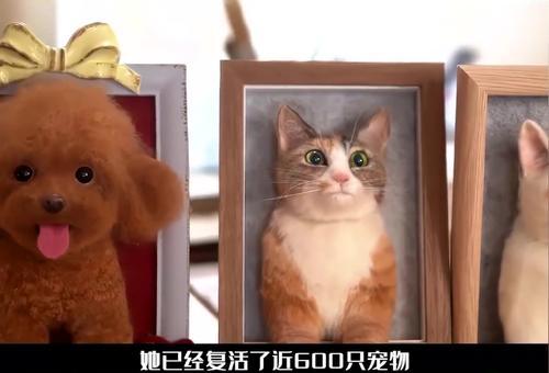 活灵活现的羊毛毡手艺,为爱宠人士圆梦!