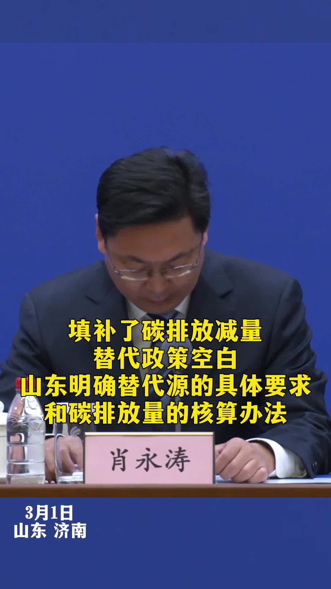 填补了碳排放减量替代政策空白 山东明确替代源的具体要求和碳排放...