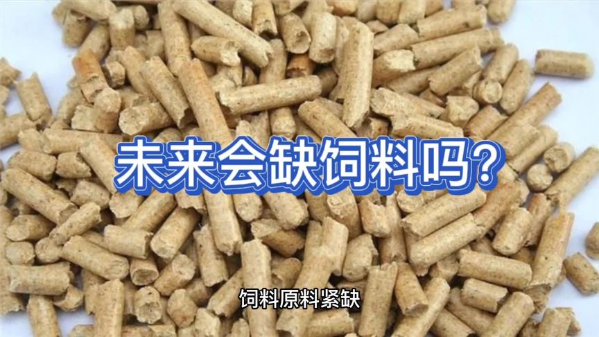 未来会缺饲料吗?#饲料原料 #蛋鸭养殖技术 #鸭蛋价格天天报
