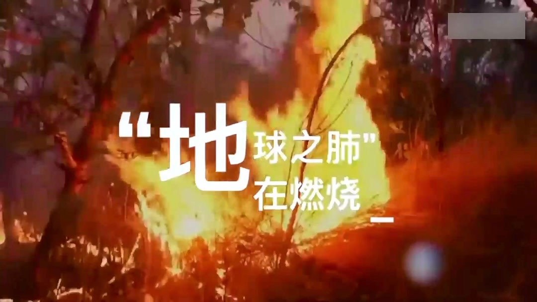 地球之肺在燃烧!亚马孙雨林过火面积超80万公顷
