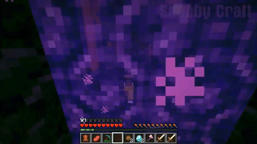 我的世界:我的世界动画!