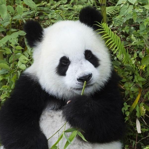 记录生活点滴2020 