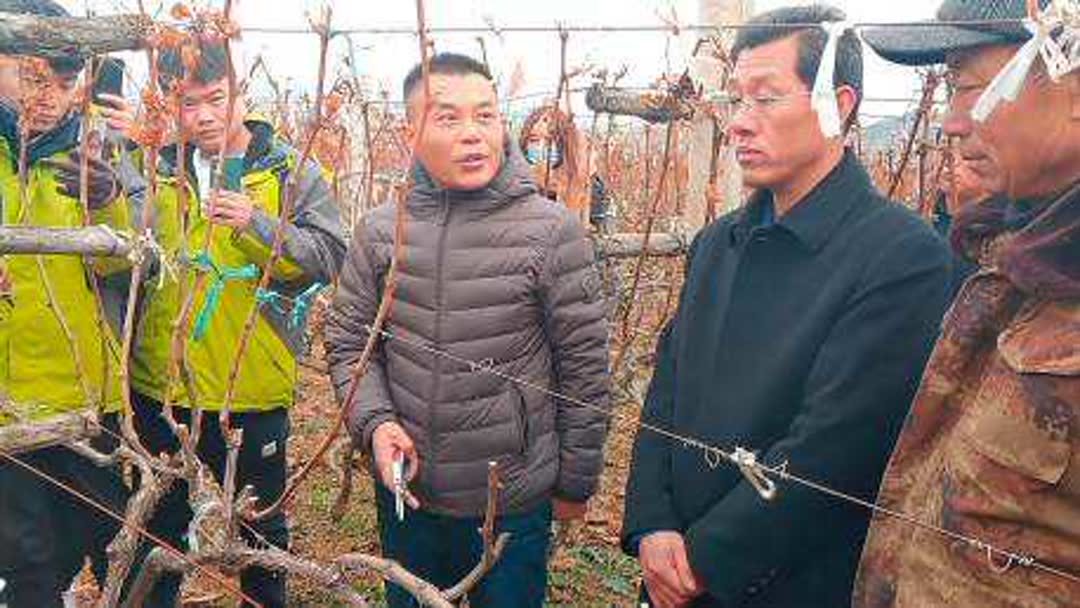 不要密植实践是检验真理的唯一标准