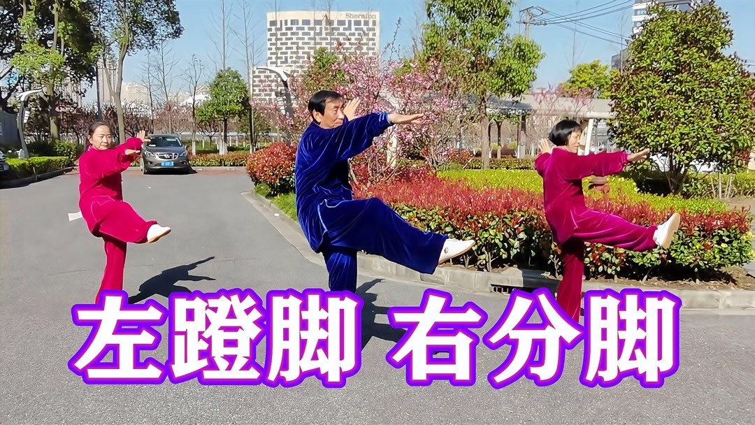 新编28式太极拳进步搬拦锤、左蹬脚、转身右蹬脚分解教学