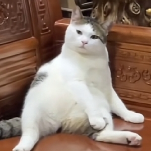 醒了就要吃饭啊 